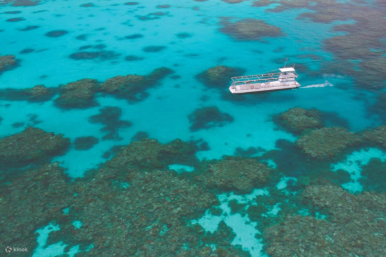 Outer Barrier Reef from Port Douglas - Klook