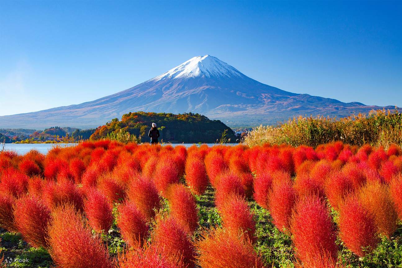Tour panoramico diurno del Monte Fuji - Centro del patrimonio mondiale ...