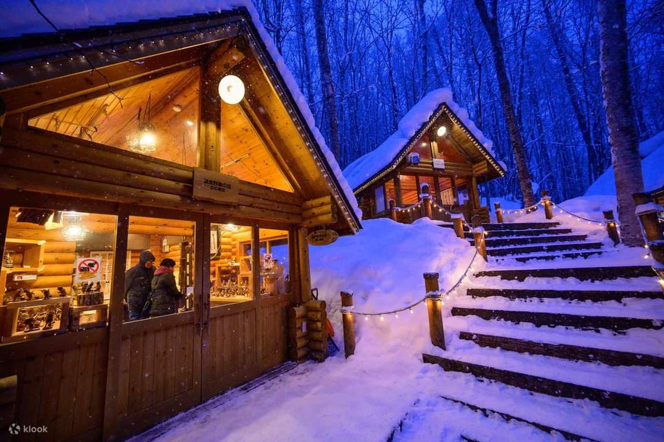 Illumination Tour: Furano Elf Terrace, Biei Blue Pond & Shirahige Falls ...