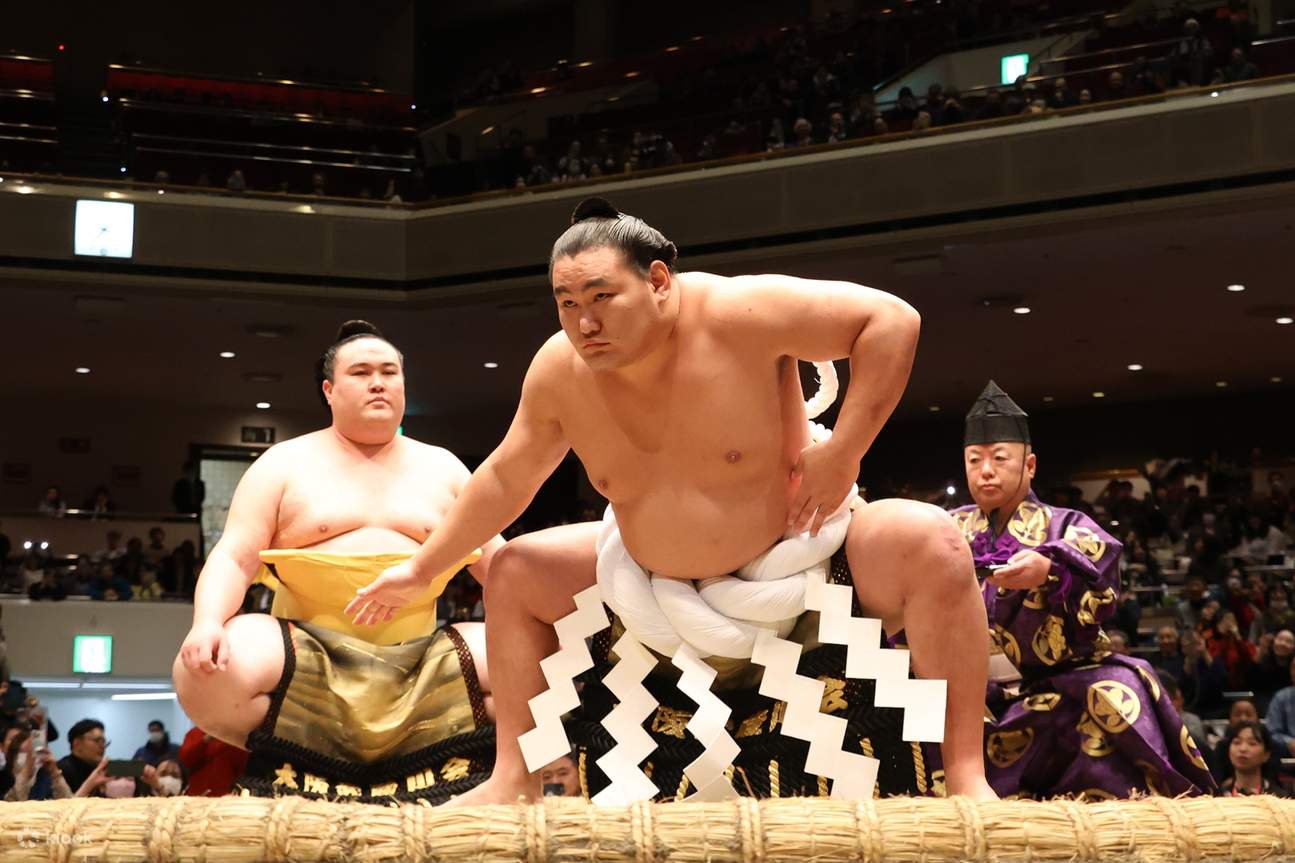Osaka City, Osaka Grand Sumo Tournament Viewing Half Day Walking Tour ...