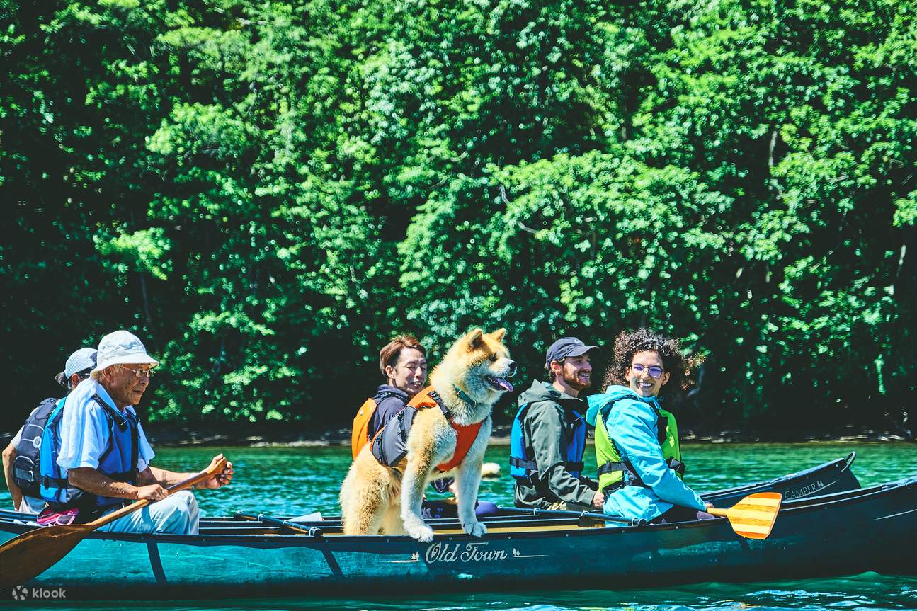 Unleash Adventure: Explore with Akita Dogs | Premier Tours at Akita ...