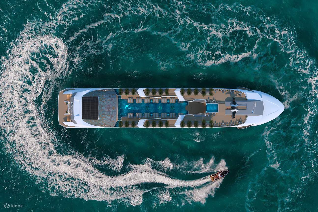 Ha Long Bay Day Tour with Sung Sot & Ti Top by 6-star Dolphin Cruise ...