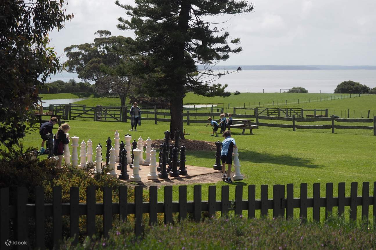 Phillip Island Penguin Parade and Churchill Island Farm Bus Tour ...