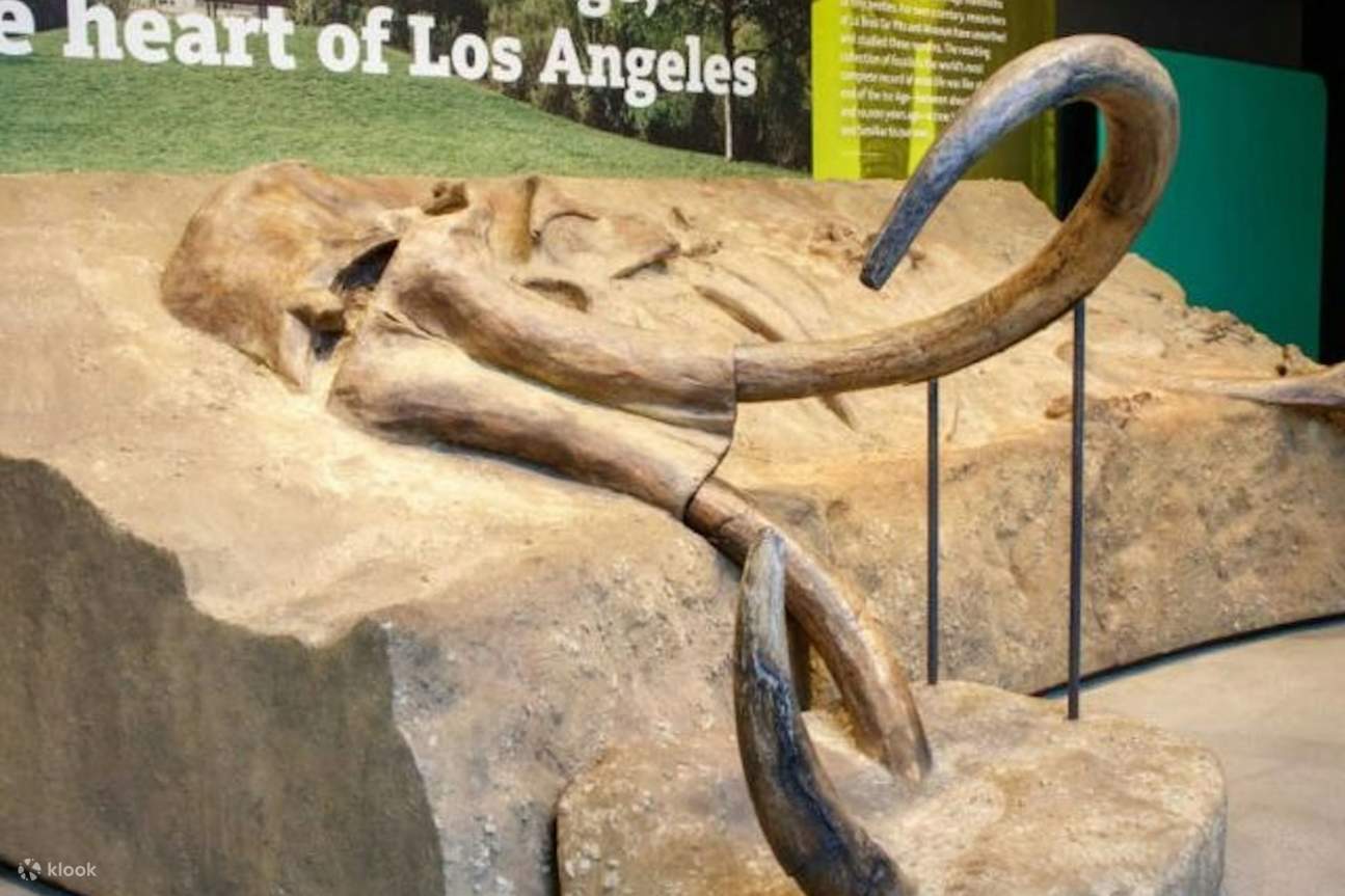 La Brea Tar Pits Museum Ticket in Los Angeles - Klook Estados Unidos