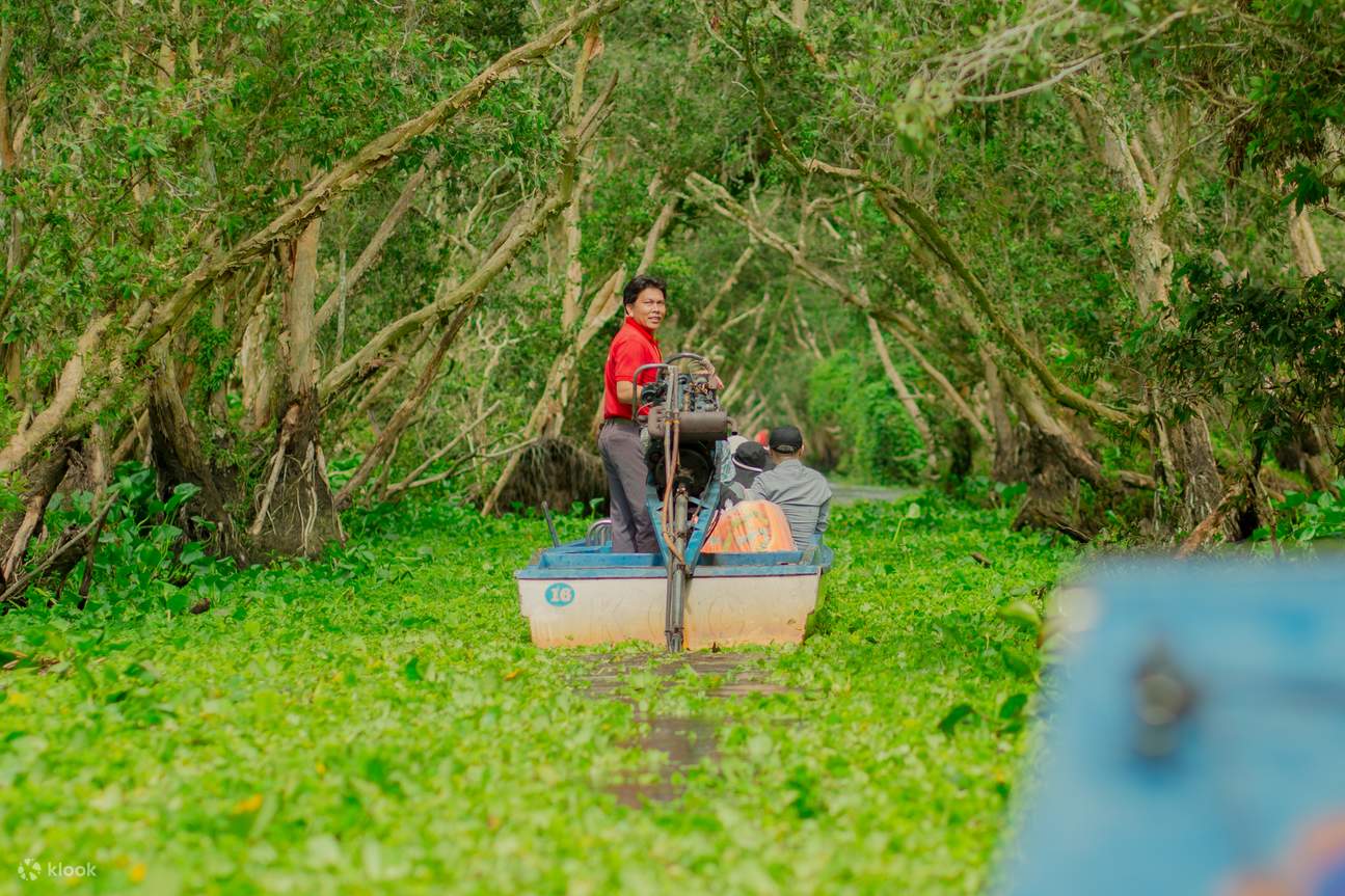 Lawatan Hari Hutan Tra Su Cajuput dari Can Tho - Klook Amerika Syarikat