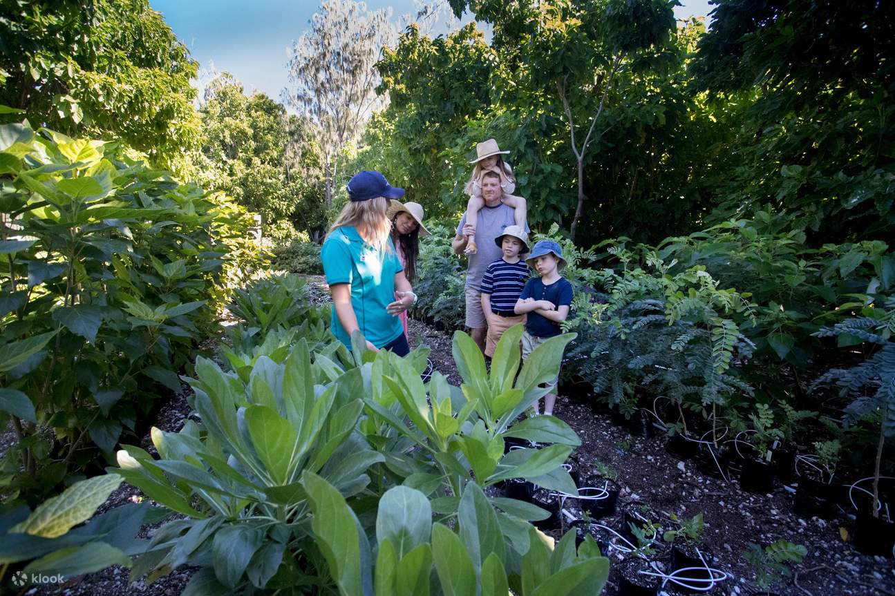 Lady Elliot Island & Great Barrier Reef Day Tour from Agnes Water - Klook