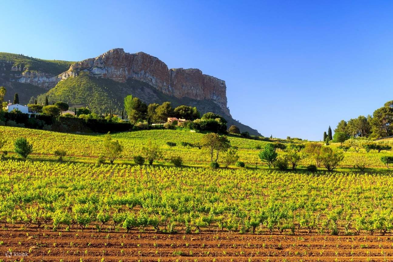 Provence Half Day Wine Tour from Aix en Provence - Klook Hong Kong