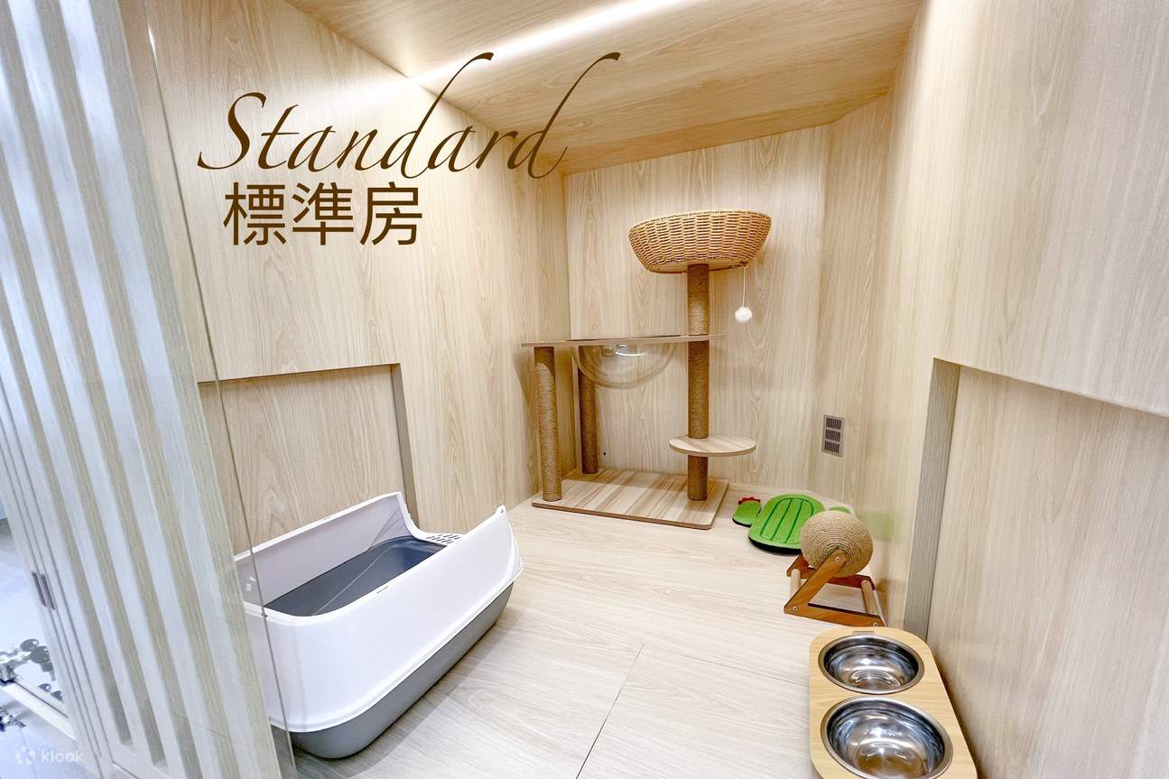 Catwalk Hotel - Cat Hotel in Hong Kong - Klook Philippines