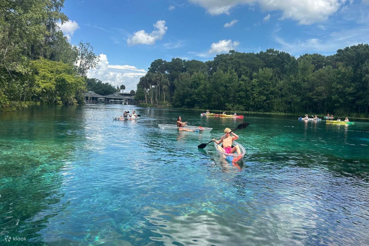 Kayak or Paddle Board Gator Tour in Silver Springs - Klook New Zealand