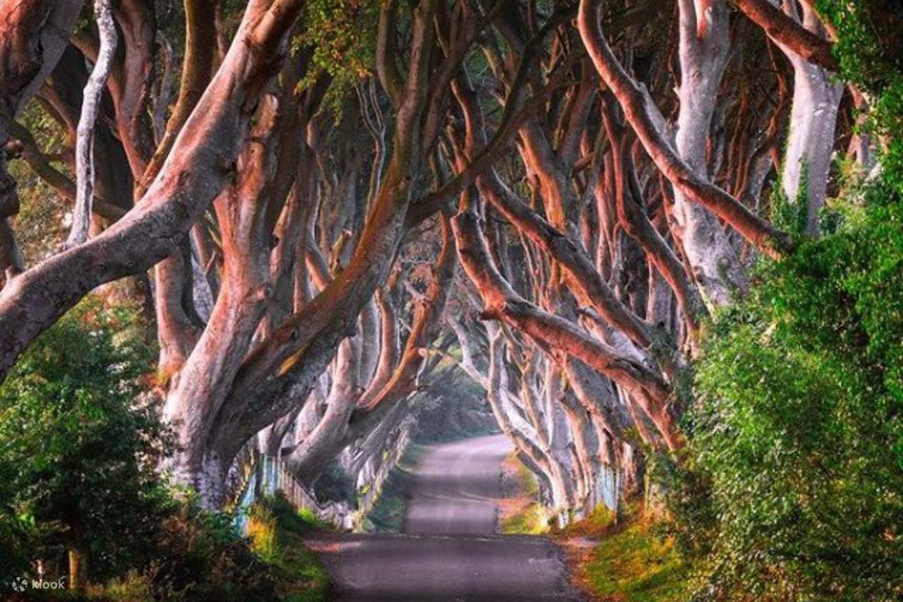 Giants Causeway Day Tour from Dublin - Klook Malaysia