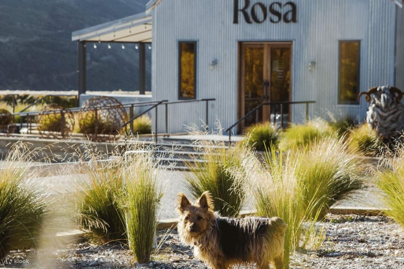 Lawatan Merasa Wain Helikopter Queenstown - Klook Amerika Syarikat
