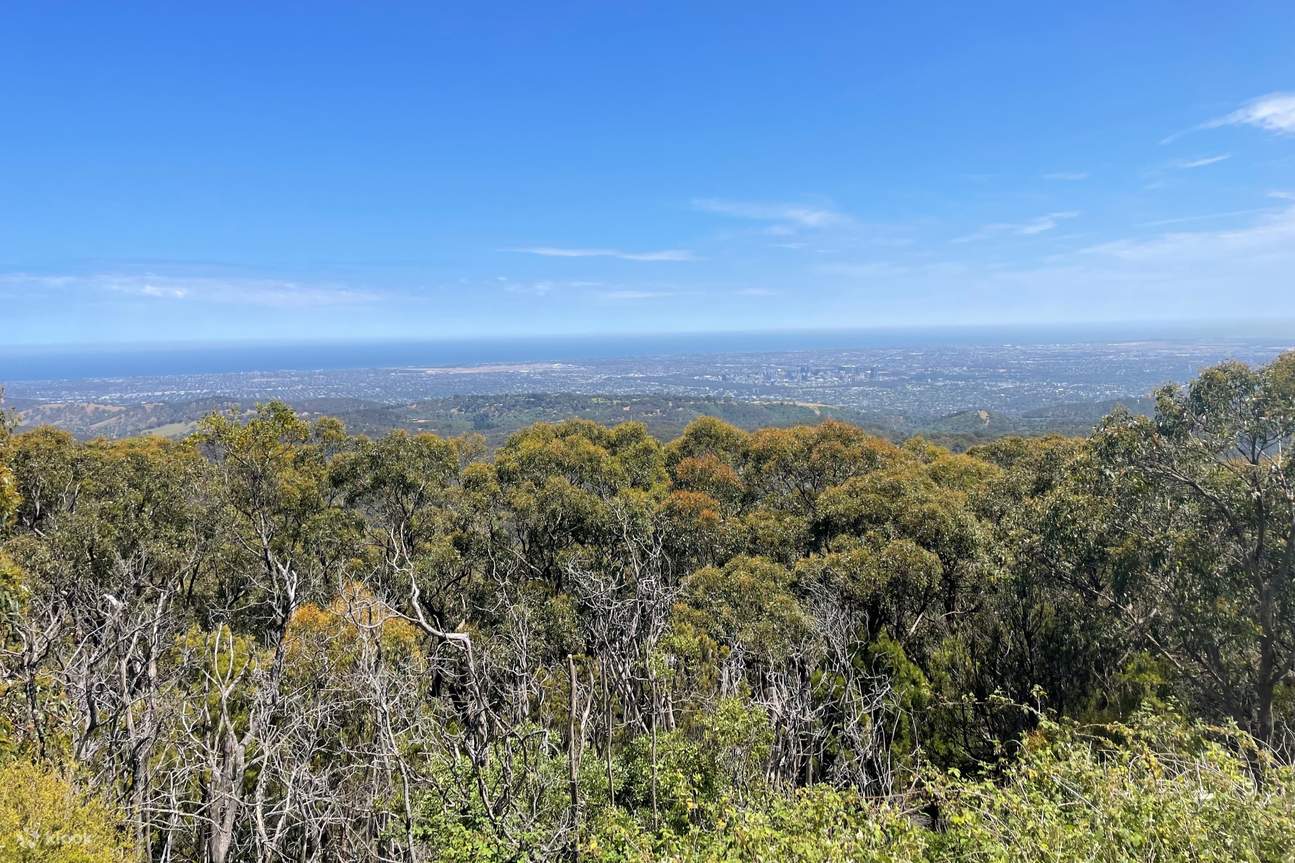 Adelaide Hills Tagestour mit Chinesischsprachigem Reiseleiter - Klook ...