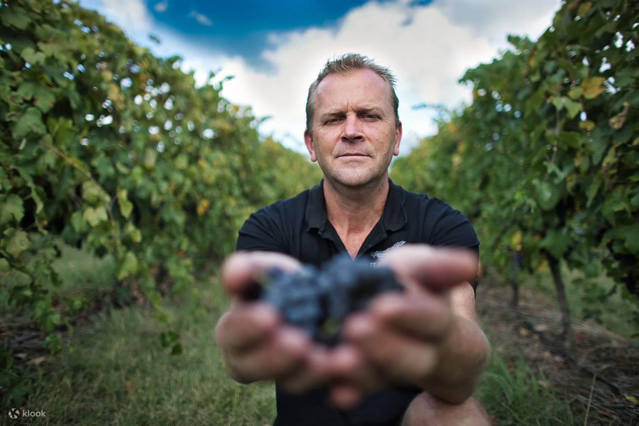 Behind the Vines & Wines Tour at Feathertop Winery - Klook Estados Unidos