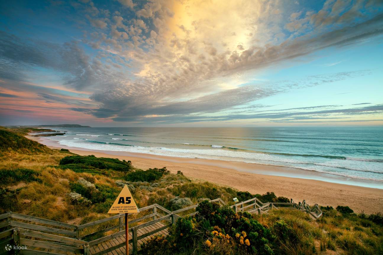 Penguin Parade Phillip Island Tour from Melbourne - Klook Australia