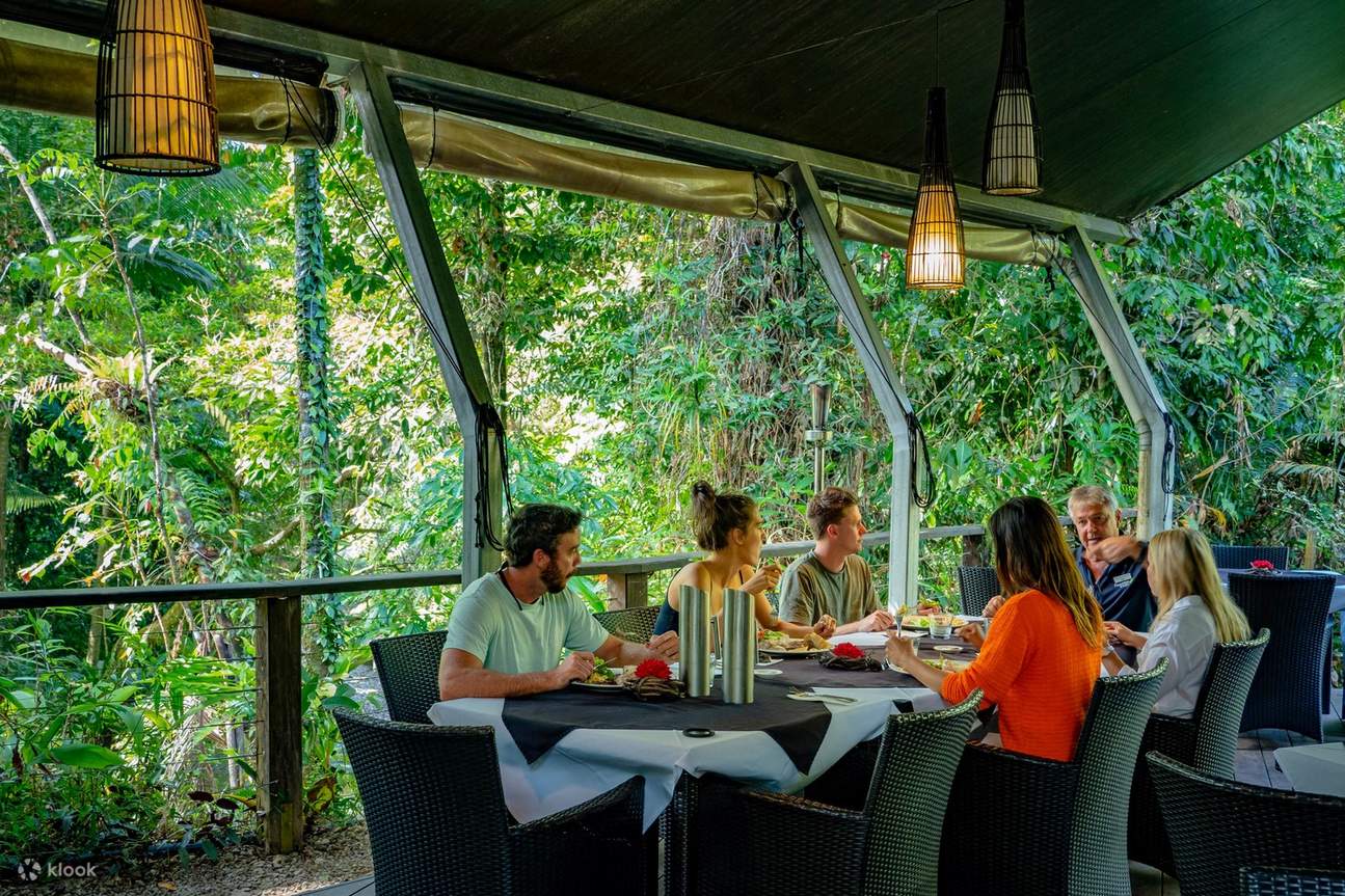 Daintree Rainforest Join In One Day Walking Tour from Port Douglas - Klook