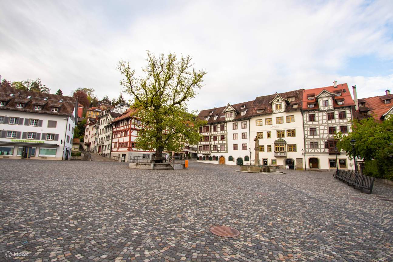 Art and Culture Tour in St.Gallen with a Local - Klook
