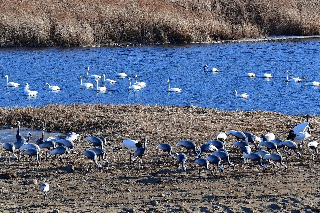 Hantan River UNESCO Winter Fantasia Day Tour - Klook Malaysia