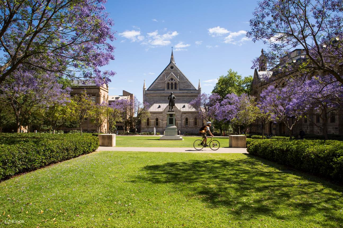 Adelaide City & Glenelg Beach Day Tour (Small Group of 11 & Chinese ...