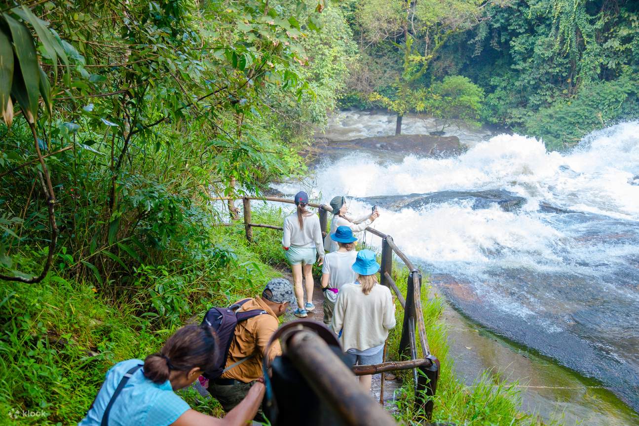清迈：Kew Mae Pan 自然步道和茵他侬一日游 - Klook客路