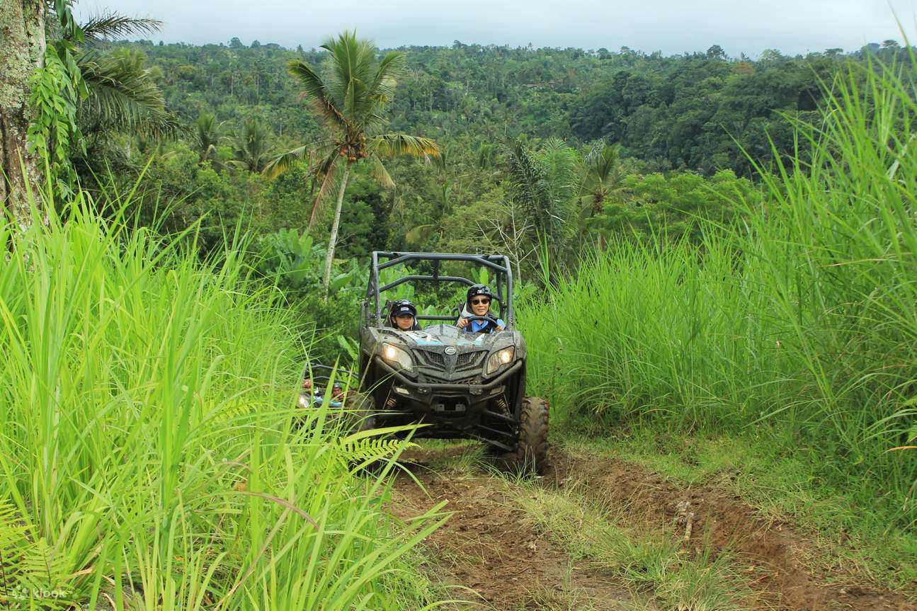Buggy Discovery Tour in Payangan Bali - Klook