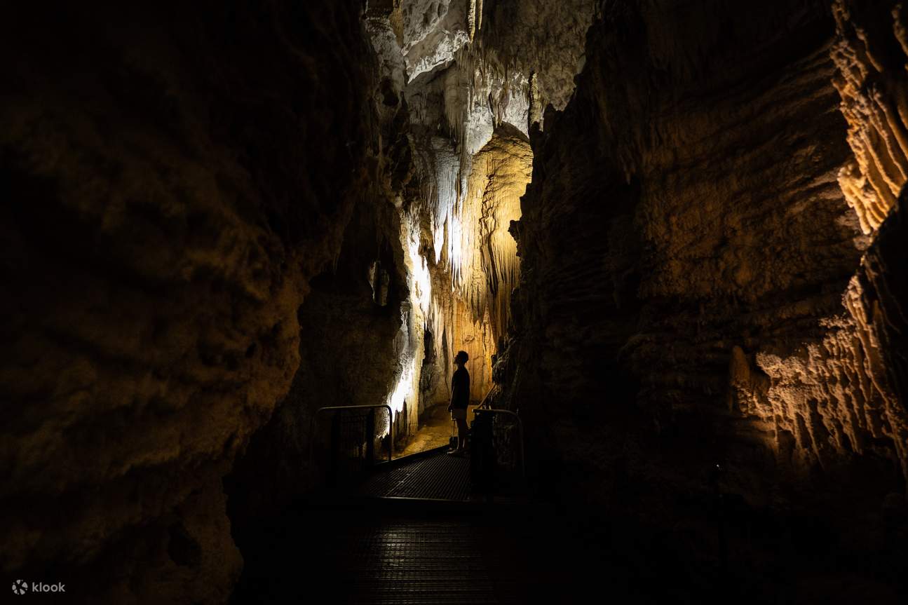 Hobbiton Movie Set & Waitomo Caves Kleingruppentour ab Auckland - Klook ...