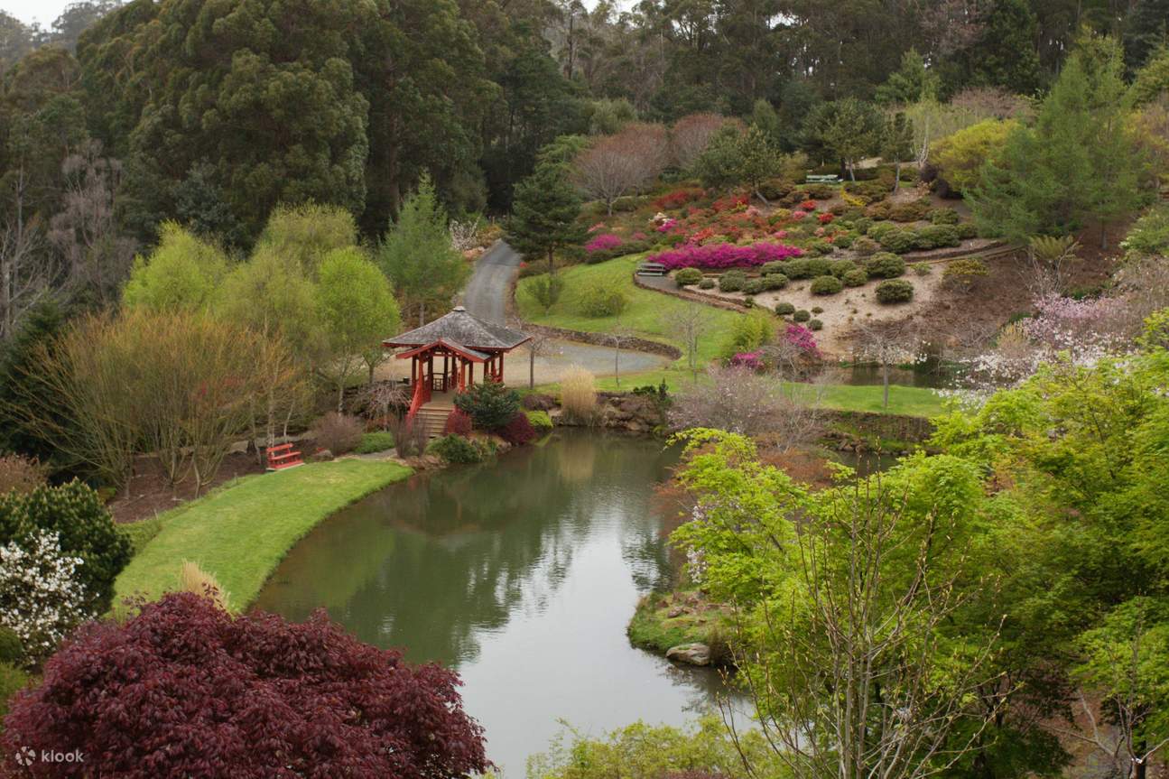 Burnie Shore Excursion Bus des attractions de Burnie - Klook États-Unis