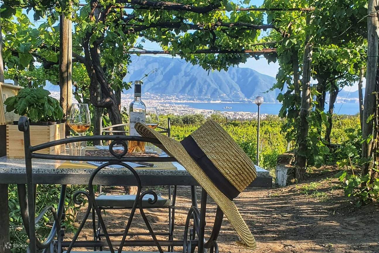 Mount Vesuvius Tour from Naples - Klook Hong Kong