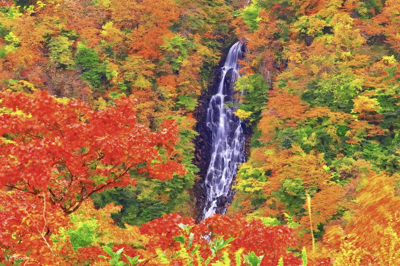 Miyagi: Autumn Leaves & Zao Fox Village 1Day Tour (Sendai Departure ...