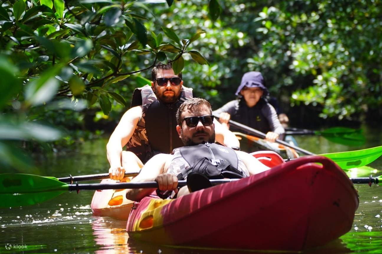 Iriomote Island Yubu Island sightseeing & selectable activity 1 day ...