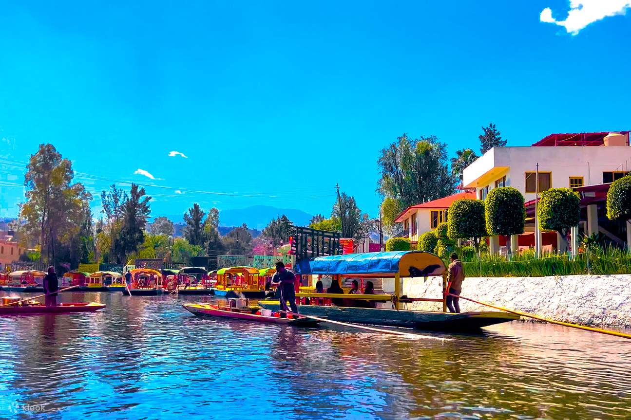 Xochimilco Trajinera Party with Drinks, Music & Taco Dinner - Klook ...