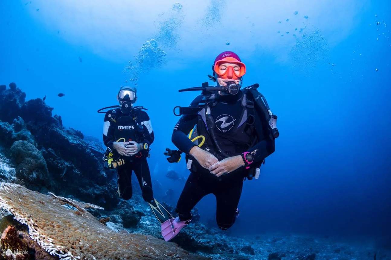 Become a PADI OW Diver in Pattaya with PADI 5 Star IDC - Klook