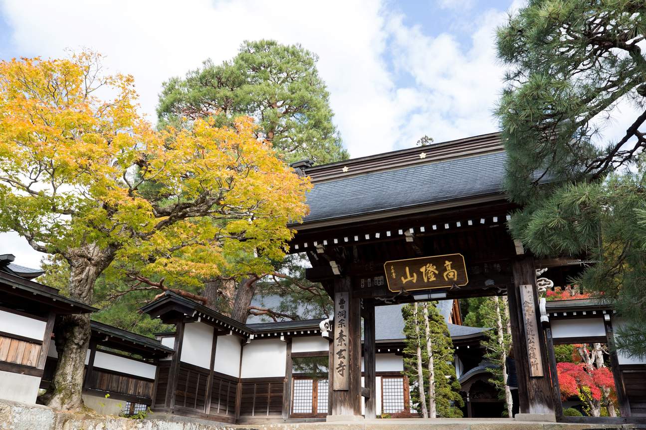 Half-Day Walking Tour: Takayama’s Hidden Gems & Temple Walk - Klook
