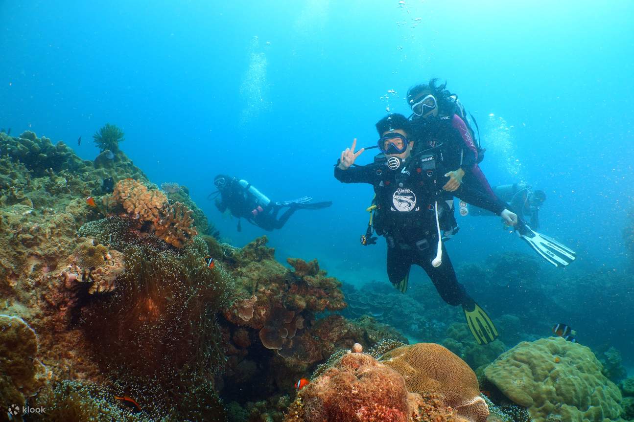 Pingtung Kenting Blue Hole Diving Experience Diving・PADI OW Beginner ...