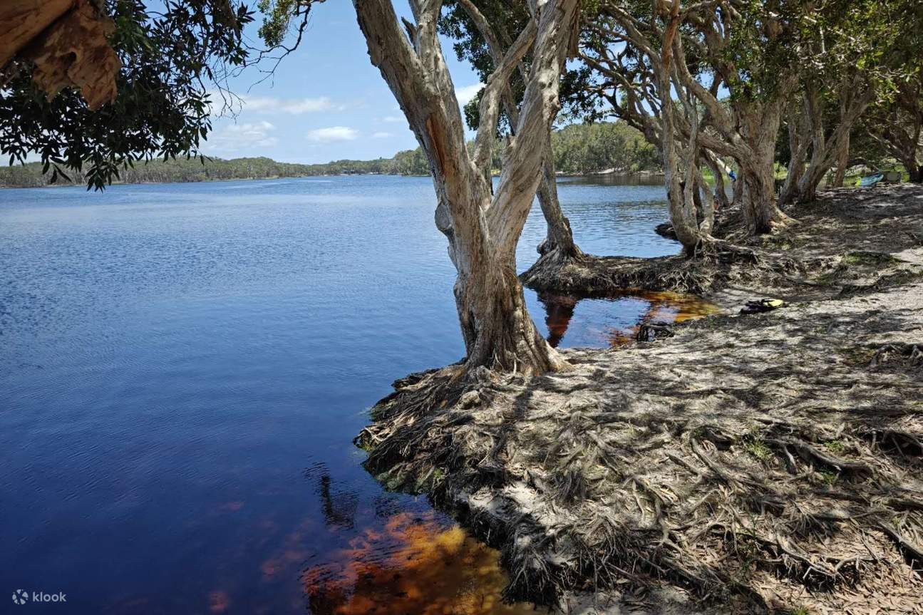 Byron Bay Day Tour with Chinese Speaking Guide - Klook