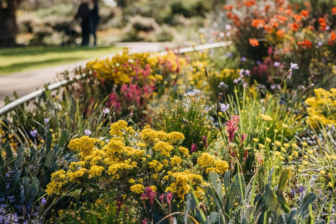 Penjelajah Kota Perth dan Fremantle - Klook Indonesia