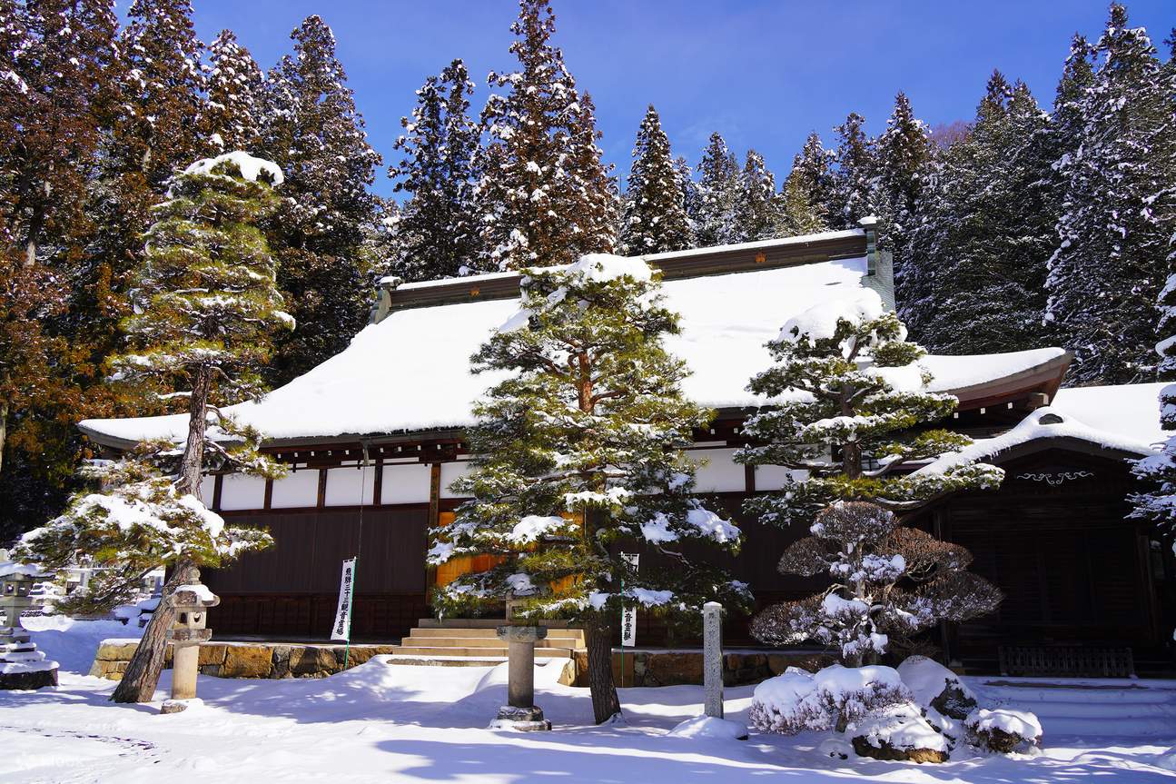 Half-Day Walking Tour: Takayama’s Hidden Gems & Temple Walk - Klook