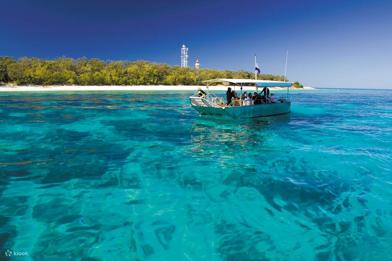 Lady Elliot Island & Great Barrier Reef Day Tour from Agnes Water - Klook