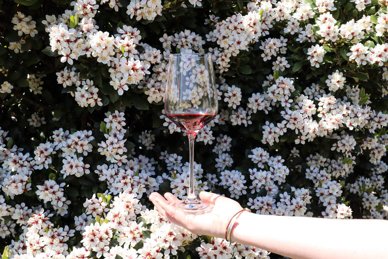 Wine Tasting in Hunter Valley by Red Door Collective - Klook