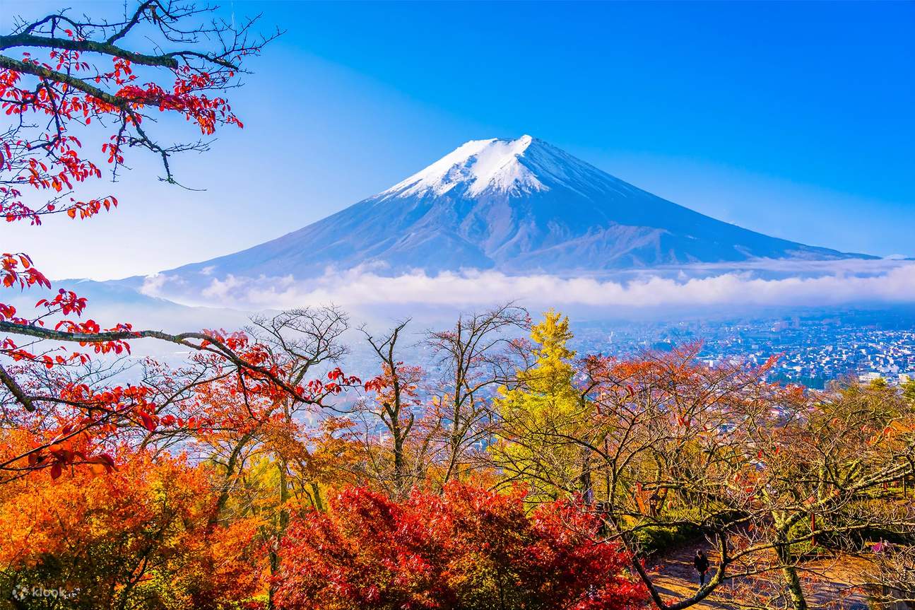 Gita di un giorno al Monte Fuji con splendide viste (partenza da Tokyo ...