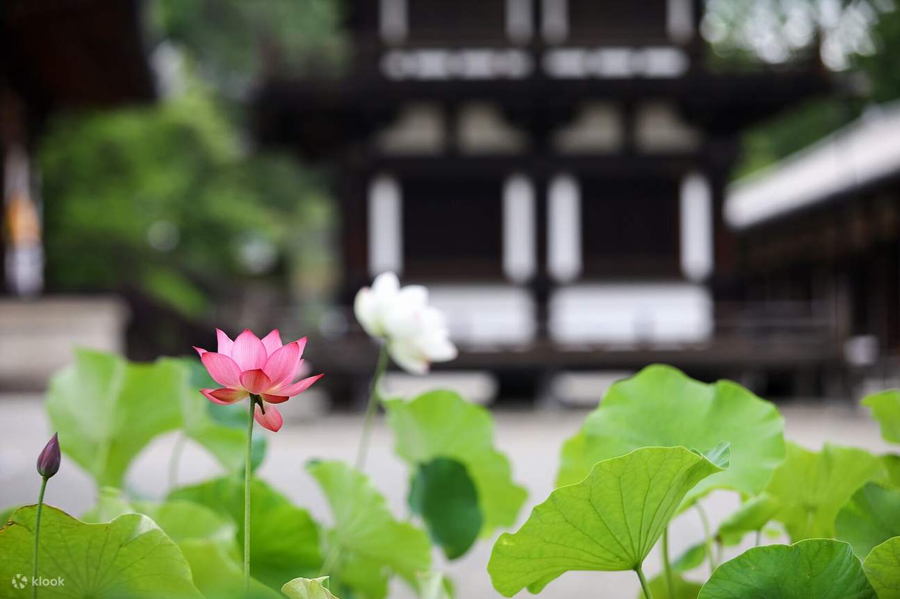 Nara: Nishi-kyōren Lotus Road Four Temples Ticket (Saidaiji Temple ...
