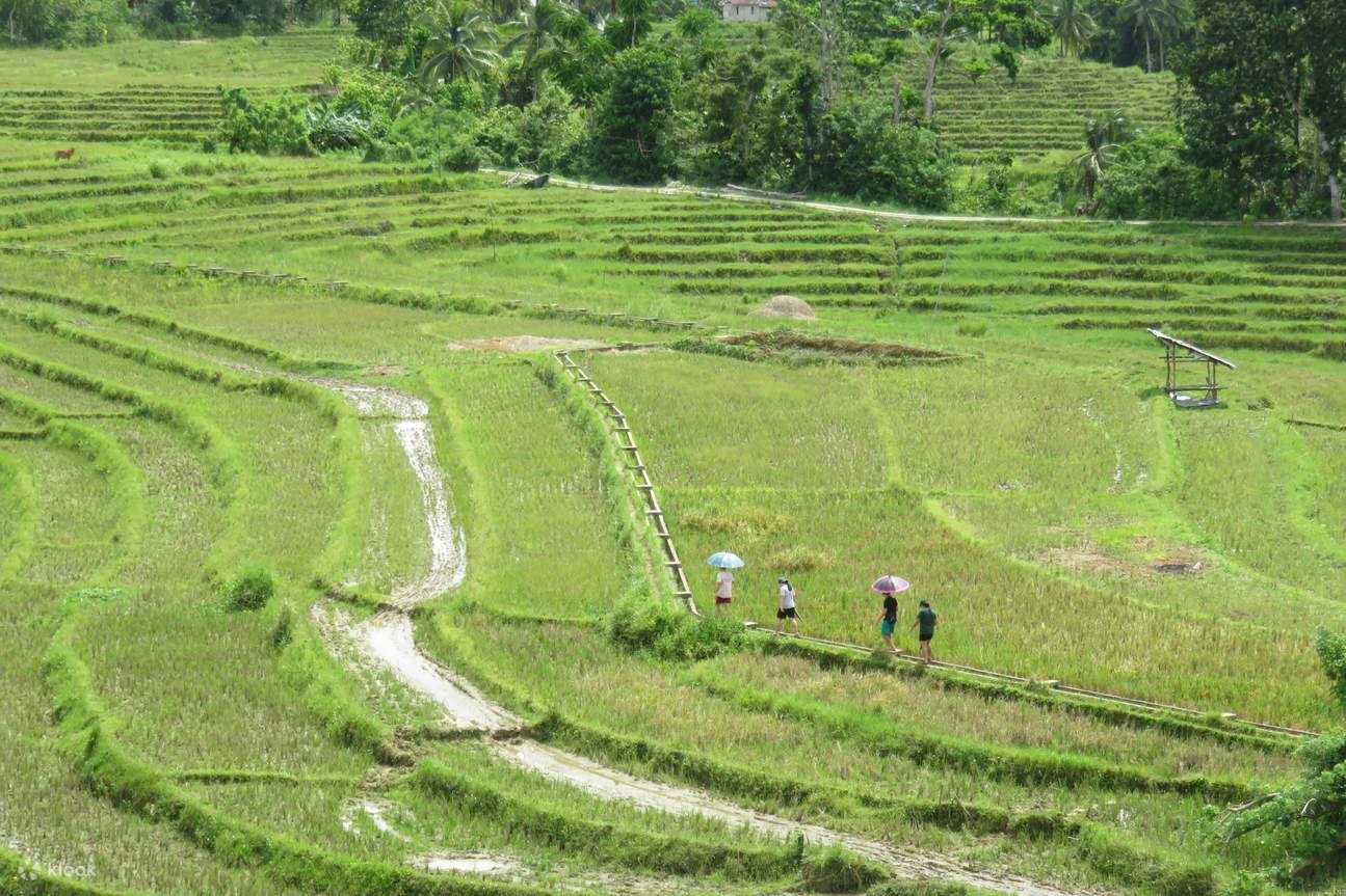 Caves, Falls & Scenic Landscapes: Anda Bohol Tour - Klook Philippines