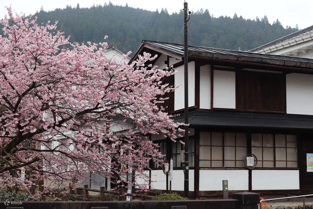 Online reservation for Shirakawago/Gujo Hachiman/Hida Takayama day tour ...