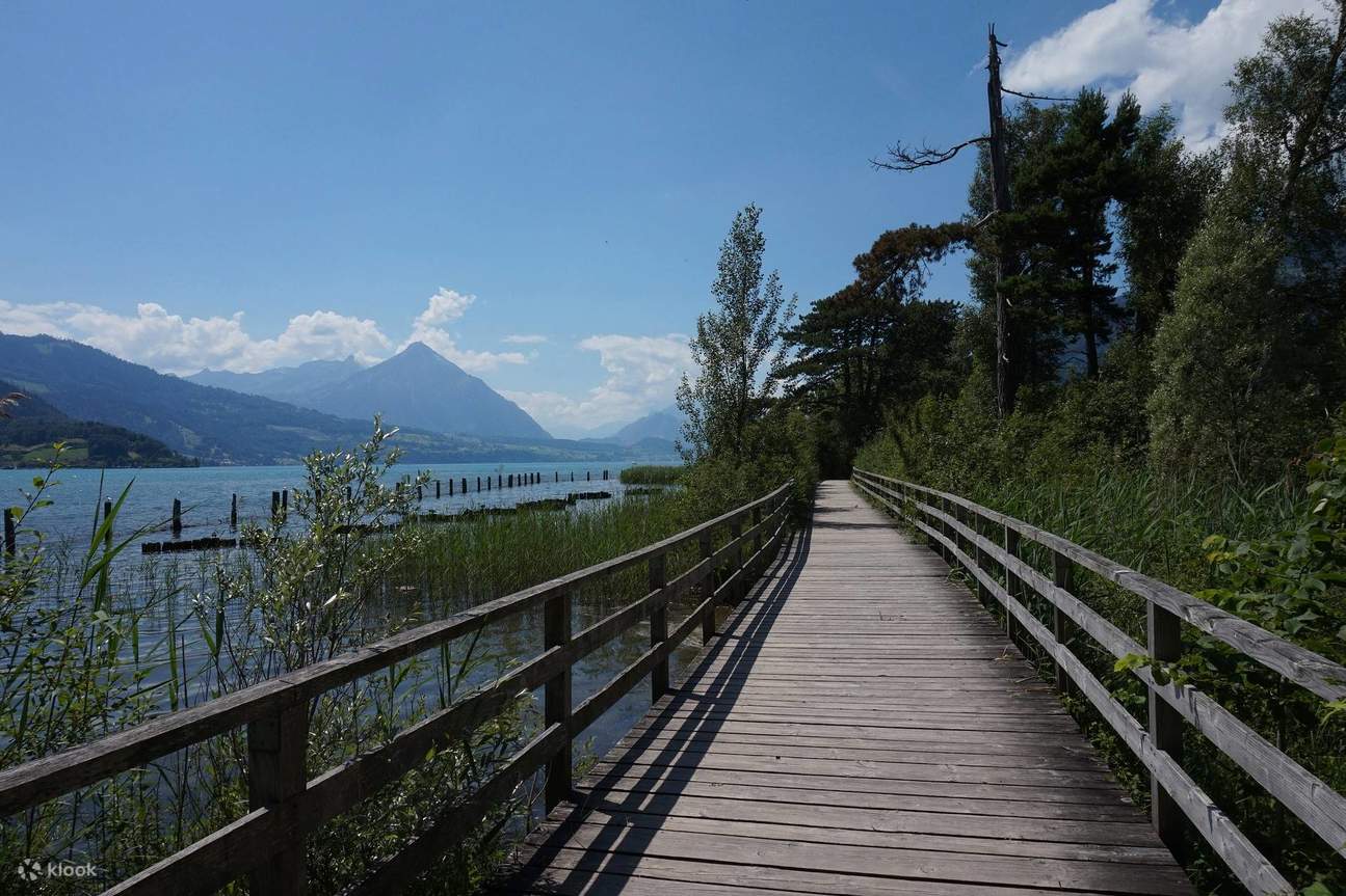 Interlaken Walking Tour with a Local - Klook