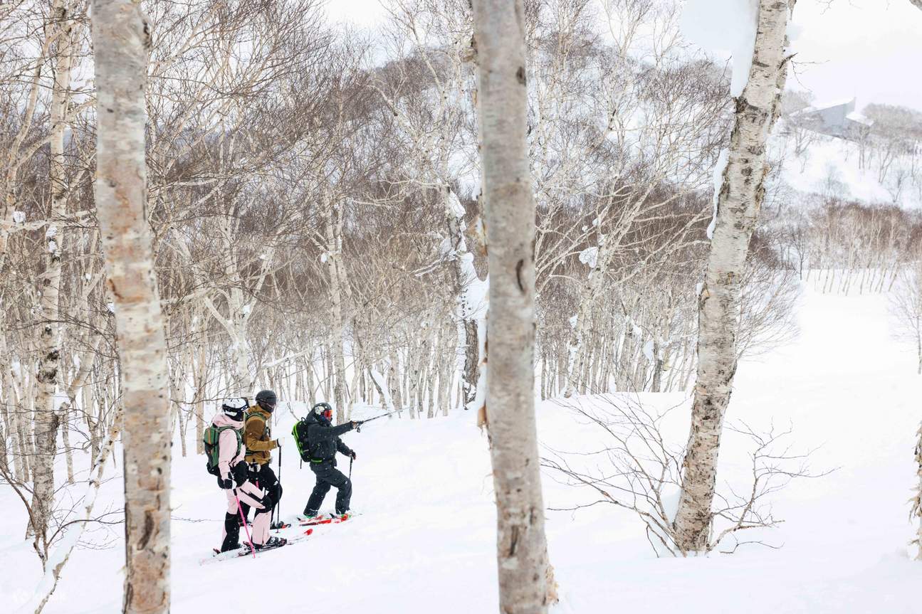 NBS Private Ski/Snowboard Lessons in Hakuba - Klook Singapore