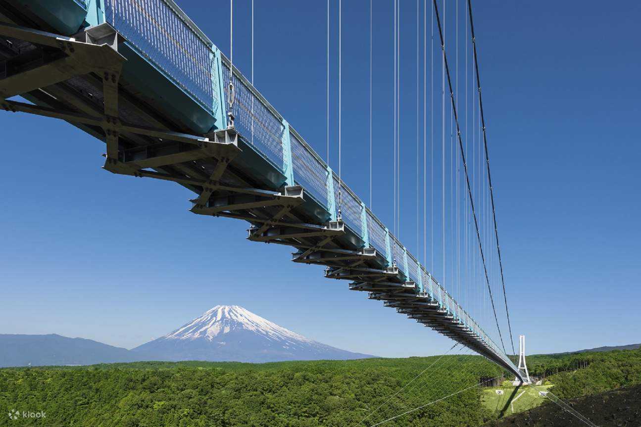 Mishima Sky Bridge Hydrangea Festival, Hakone Hydrangea Tram ...