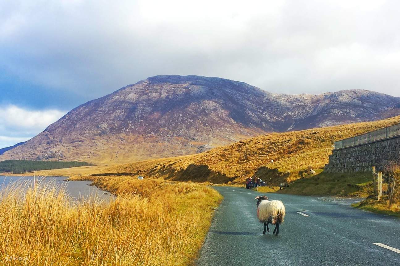 Connemara Day Tour from Dublin - Klook Philippines