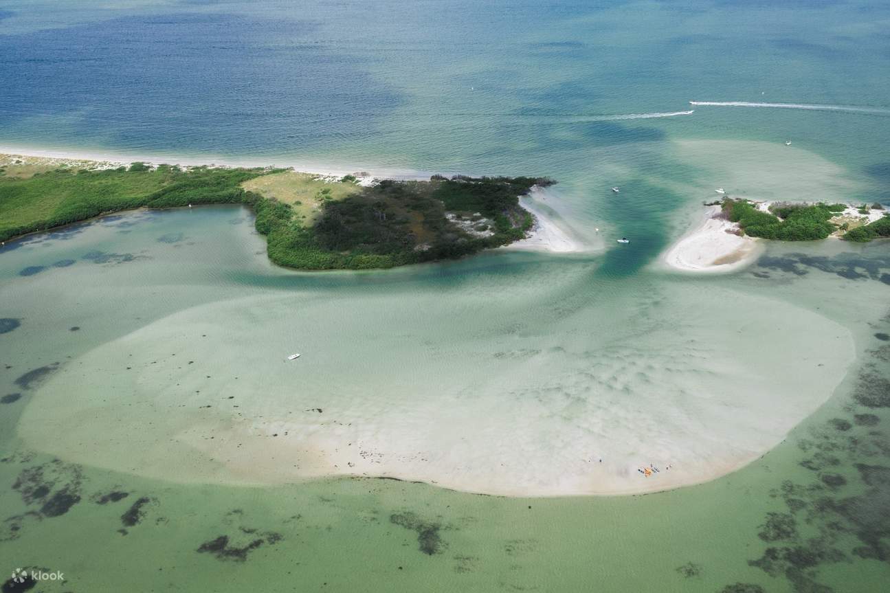 Shell Key Preserve Clear Kayak Tour in Tampa Bay - Klook