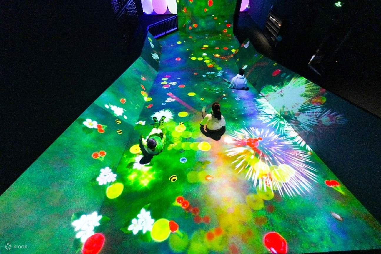 Shenzhen Teamlab co-creation! future exhibition - Klook United States