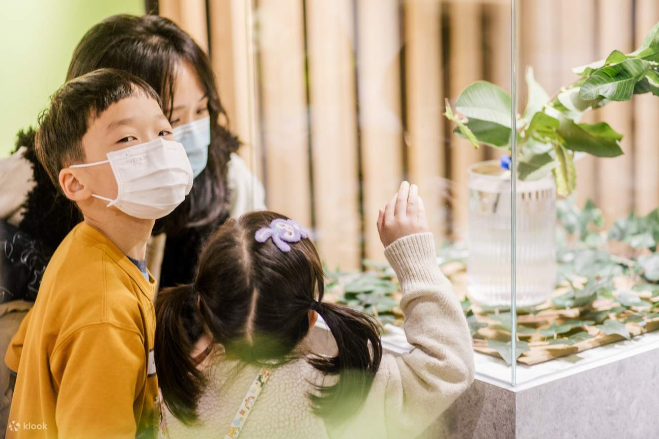 Taipei: Visit and Explore the Bugs Bass Insectarium - Klook