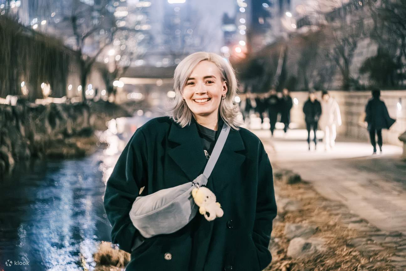 Seoul Nightscape & Heritage Photo Tour - Klook United States